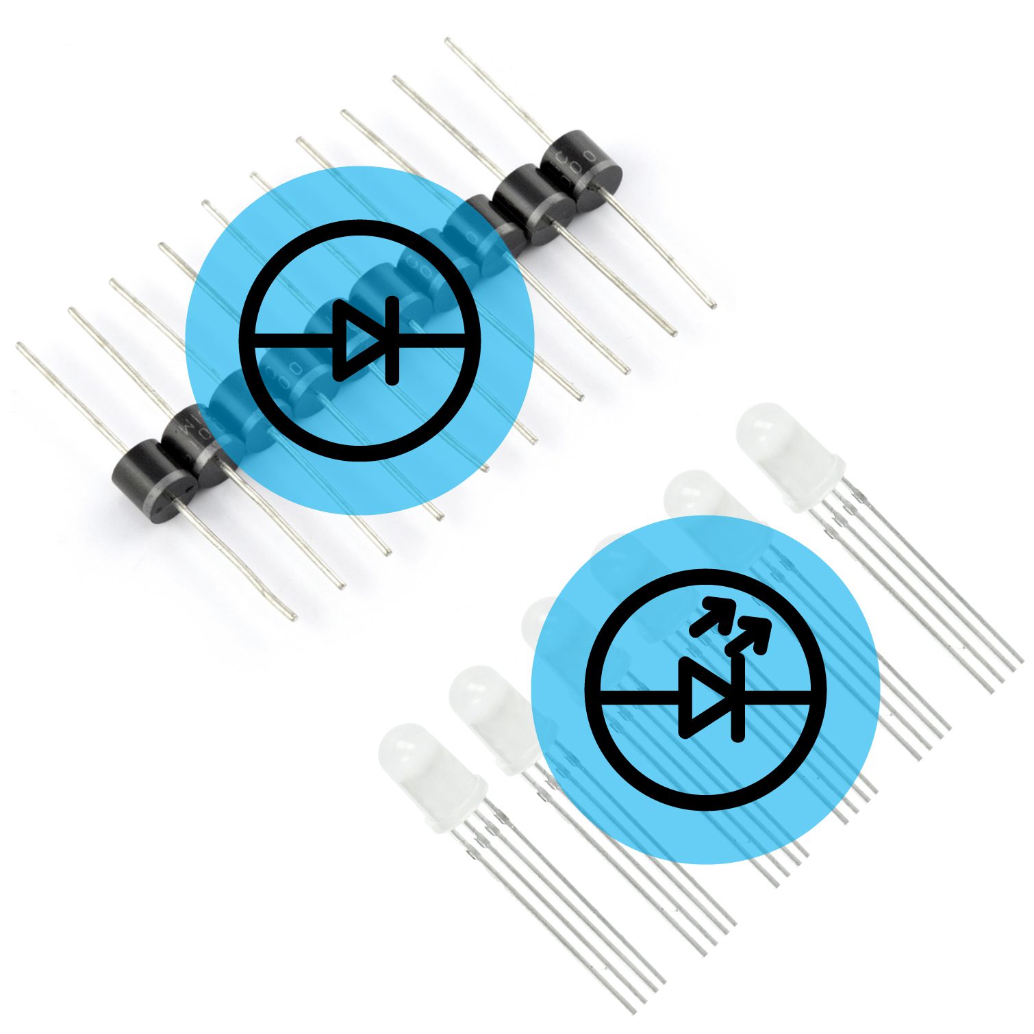 Anode und Kathode - wie funktioniert das? - Botland