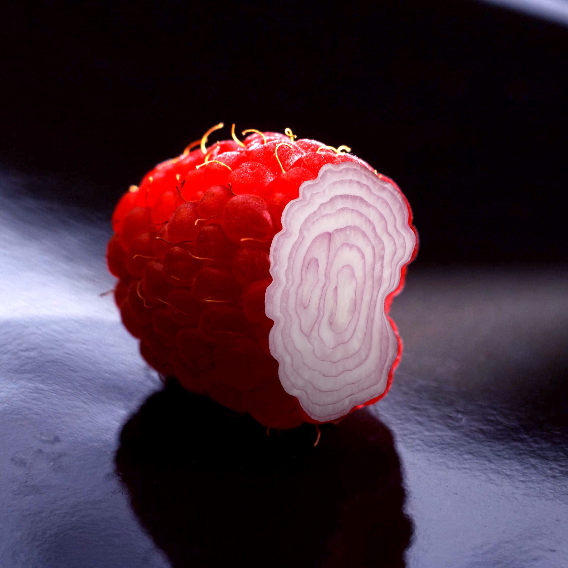 Verwendung des Tor-Netzwerks zur Verbindung mit dem Raspberry Pi - Botland